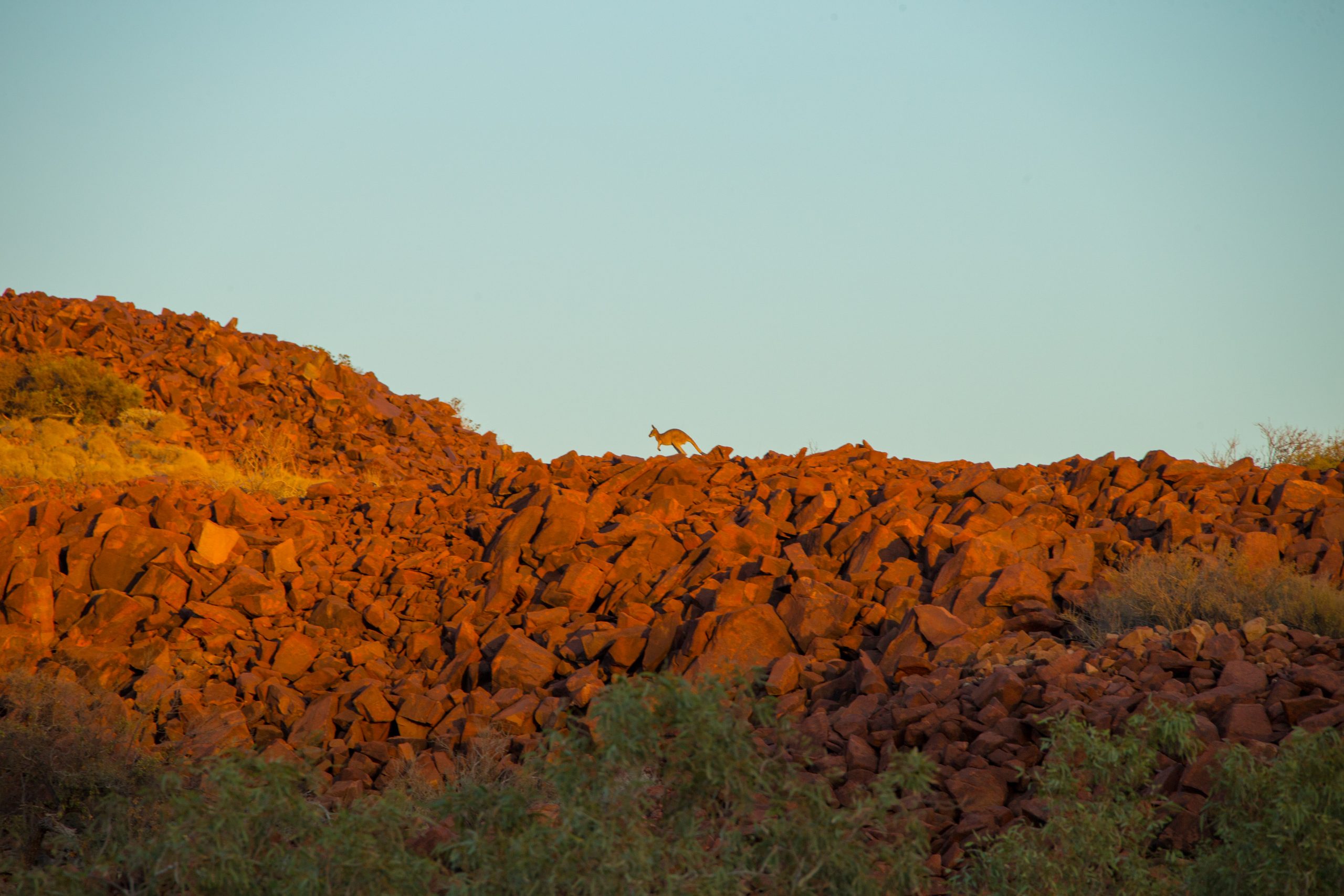 New strategies developed to protect Pilbara rock art - Murujuga ...
