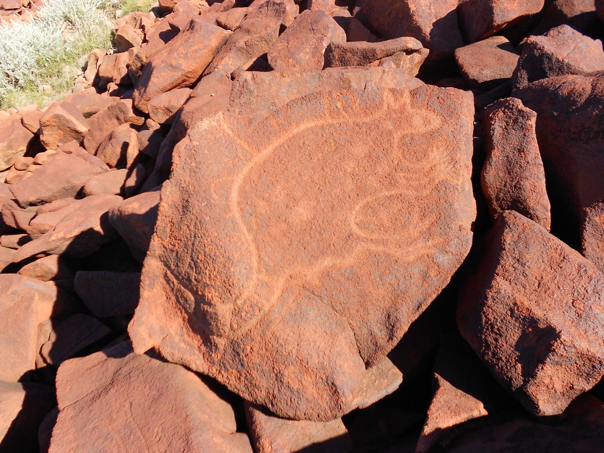 Rock Art Tours and Cultural Training - Murujuga Aboriginal Corporation ...